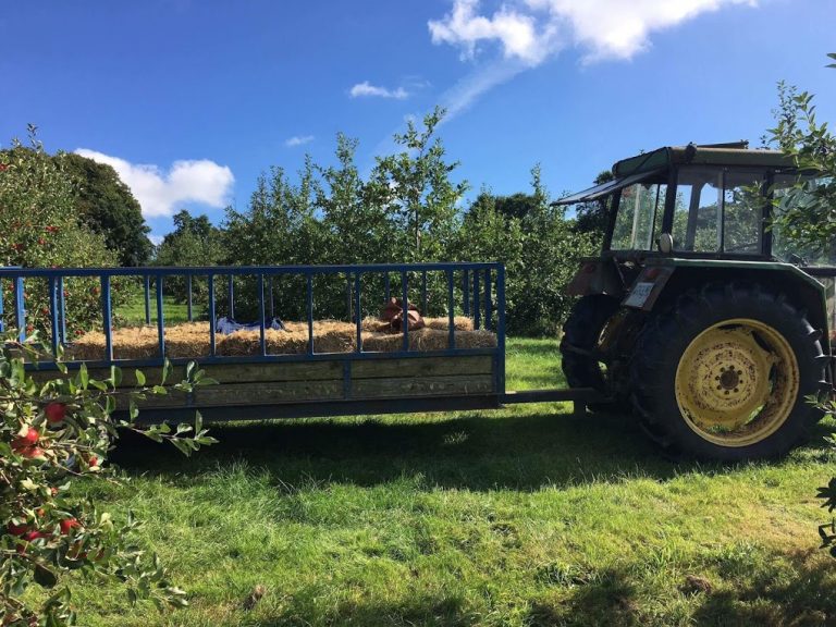 The Best Cider in Cornwall? | Haywood Cider Farm | Wadebridge