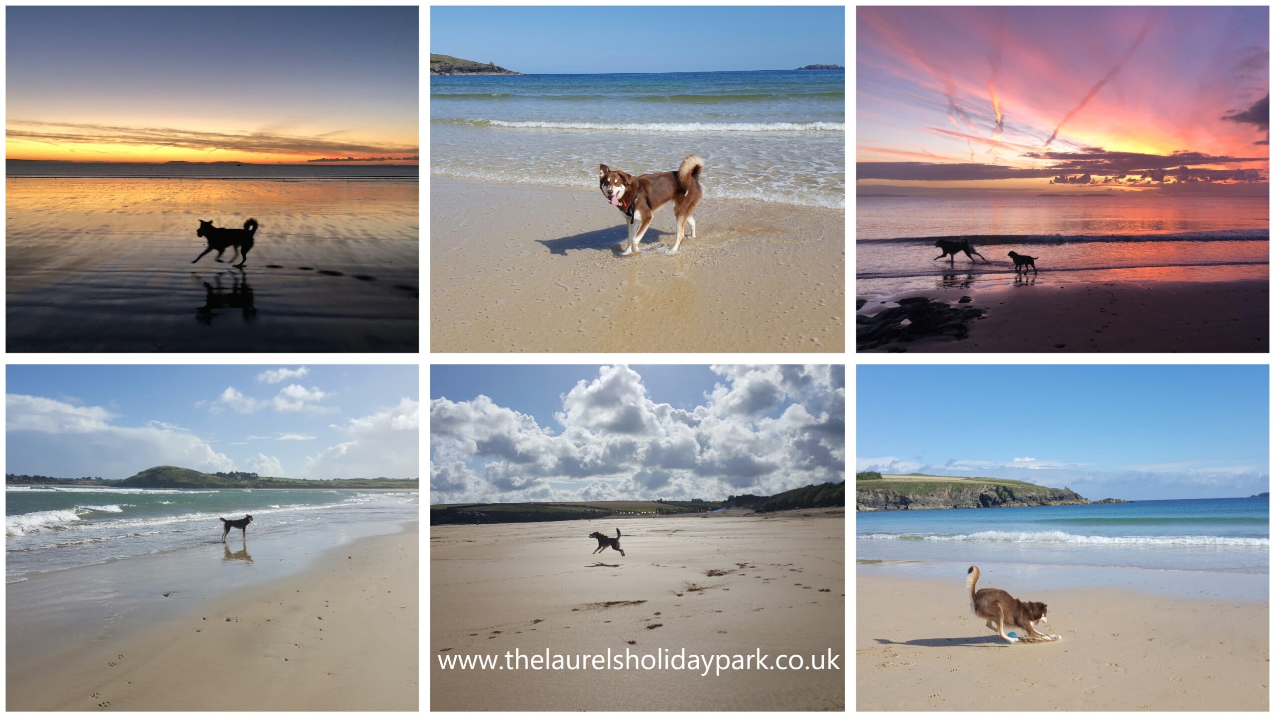 Dog Friendly Beach Guide | North Cornwall | Padstow